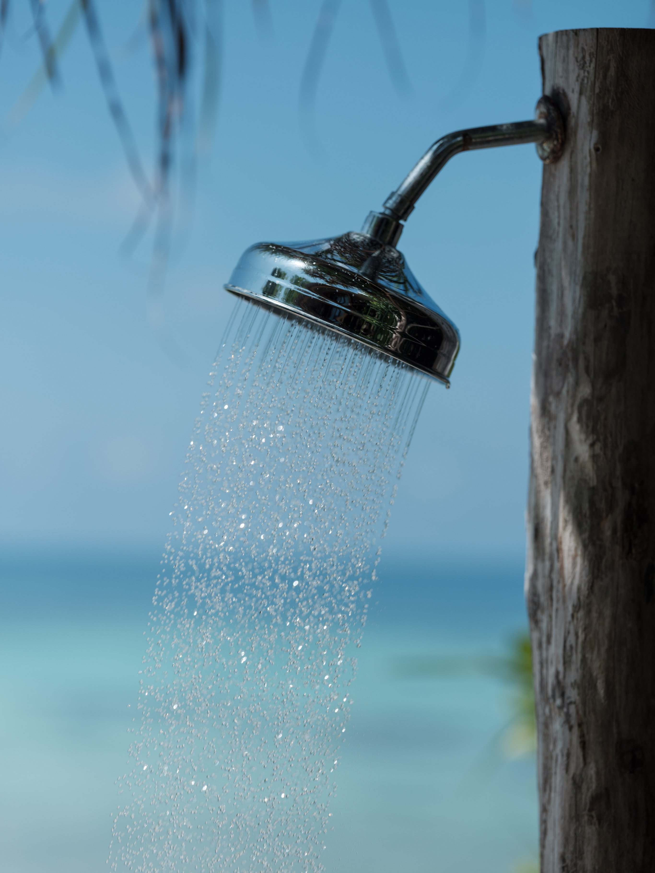 Water - Our most precious resource