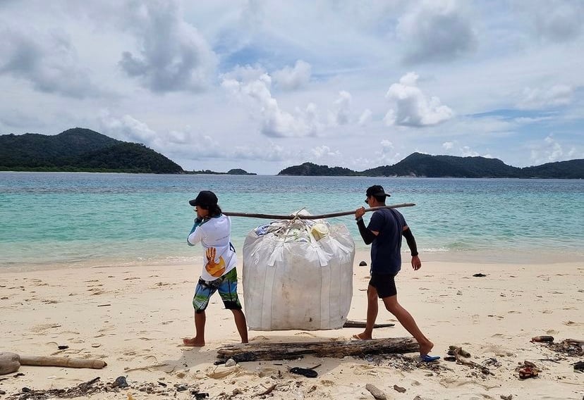 Jamu - The Indonesian Elixir