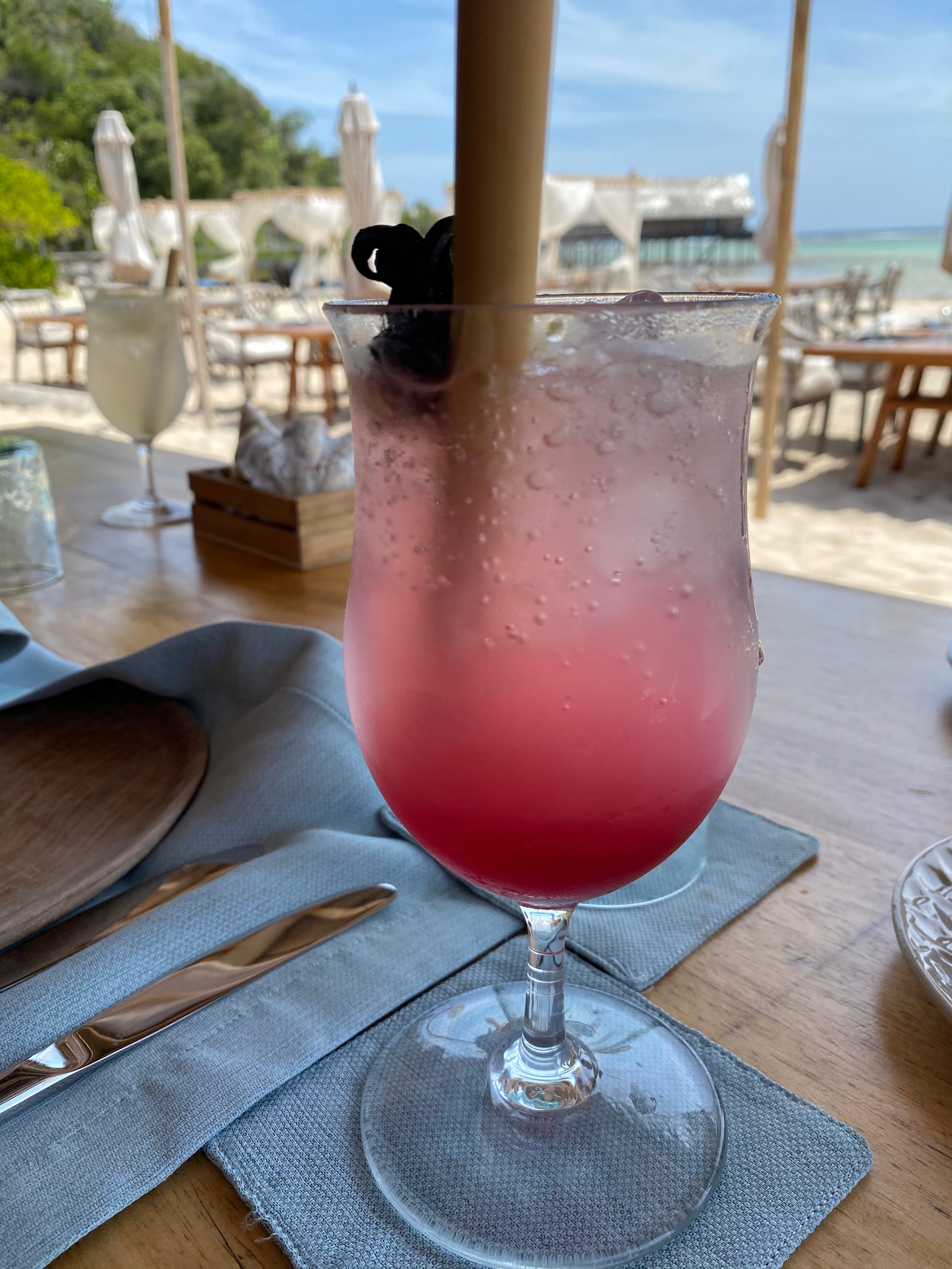 Boost your immunity naturally with Rosella